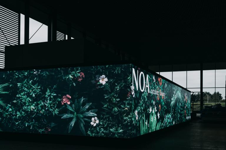 LED Counter | Caerus Vision